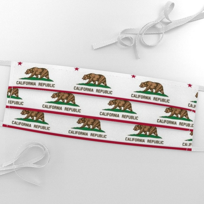 Flags Fabric California Flag Small 3 X 2 by | Etsy