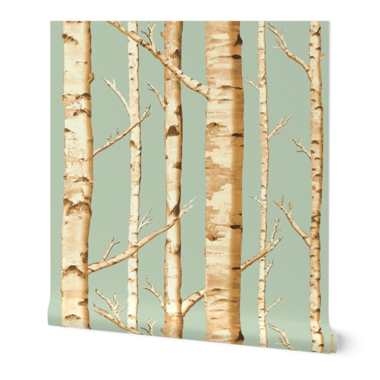 Birch Tree Wallpaper Birch Grove in Sunshine by | Etsy