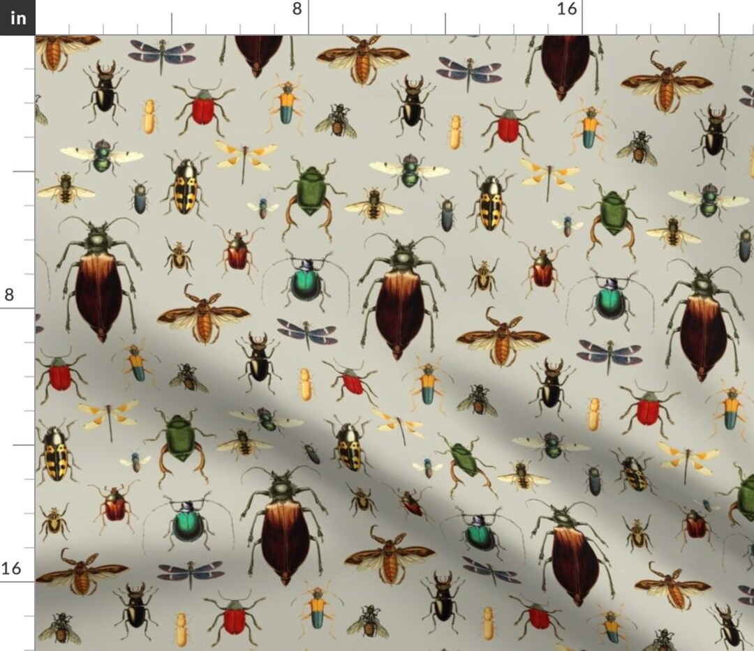 Insects Fabric Bugs Collection by Shopcabin Bugs Beetles Zoology ...
