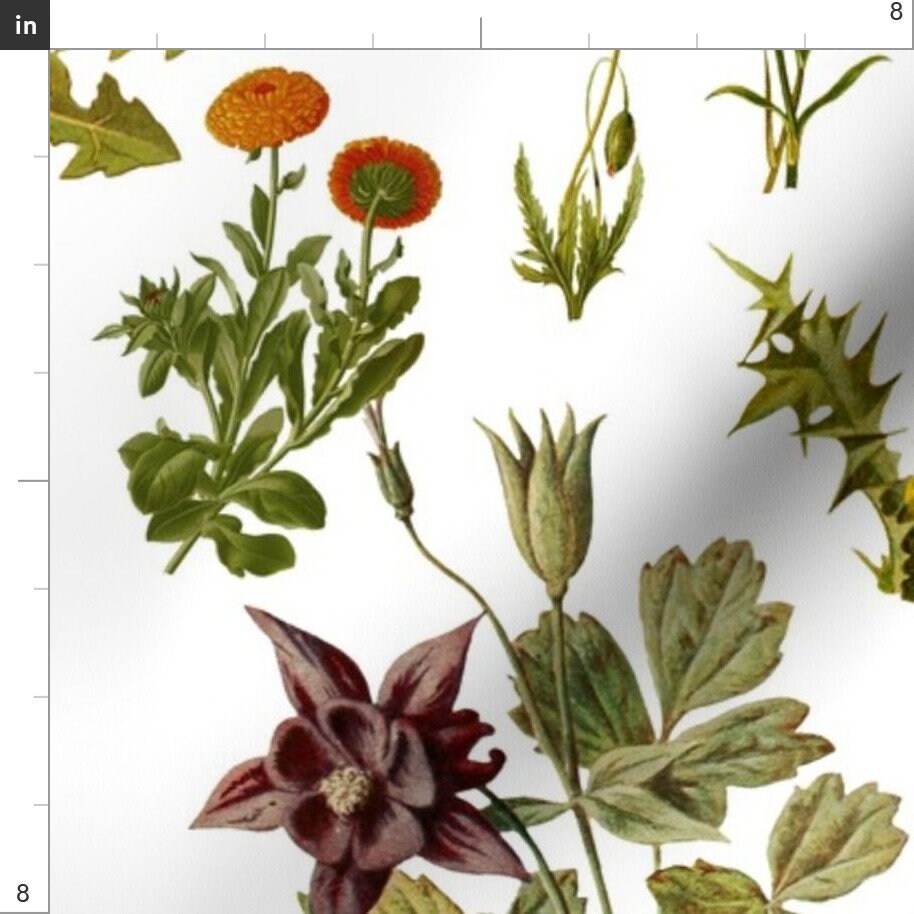 Botanicals Fabric Vintage Botanical Wildflowers Lg. by - Etsy