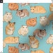 Hamster Fabric Hamsters on Light Blue by Landpenguin Pet Hamster Home ...