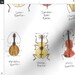 Instrument Fabric - Stringed Beetles Bugs Insects Strings Orchestra ...