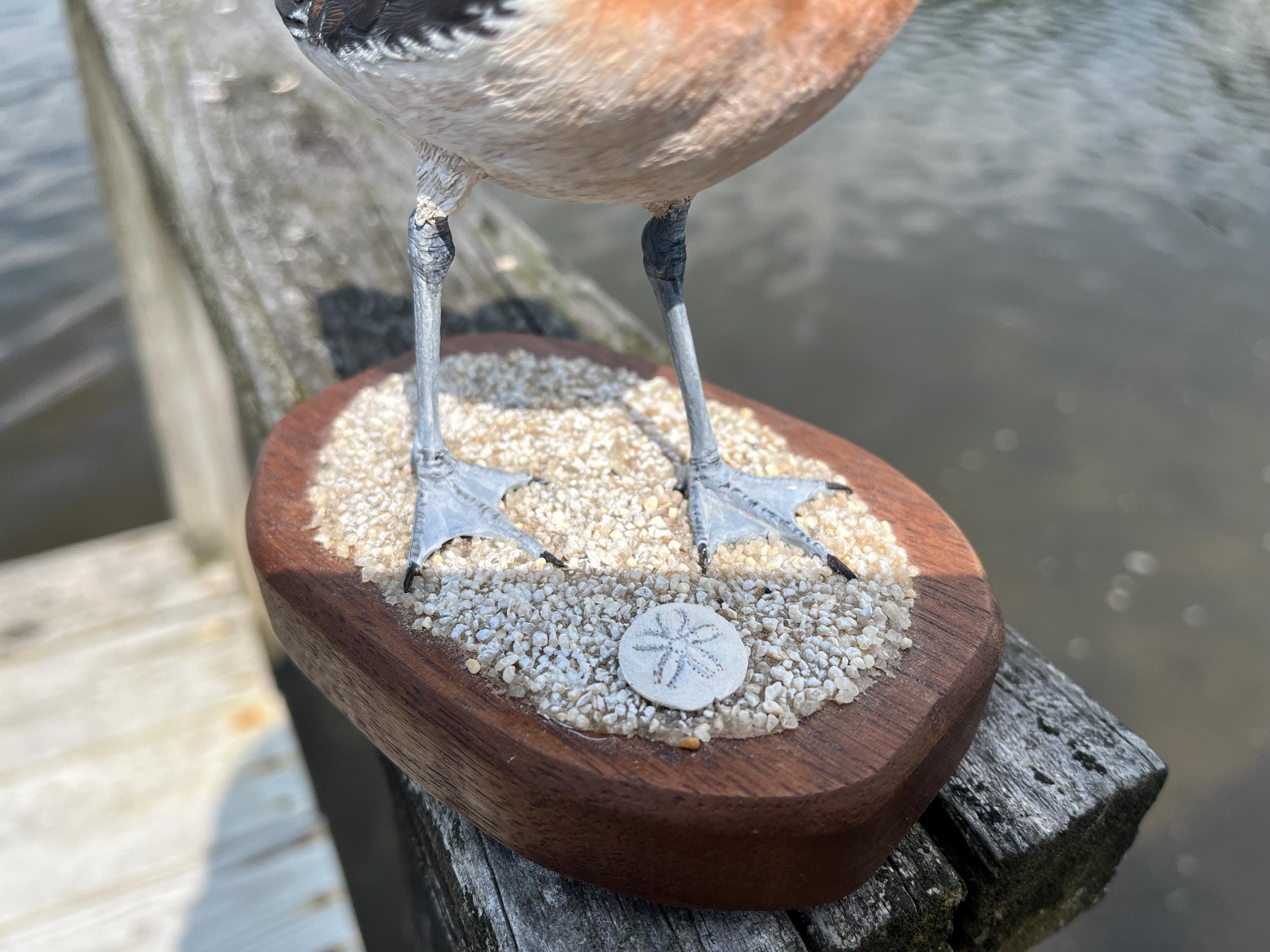 Bird Carving of an American Avocet - Etsy