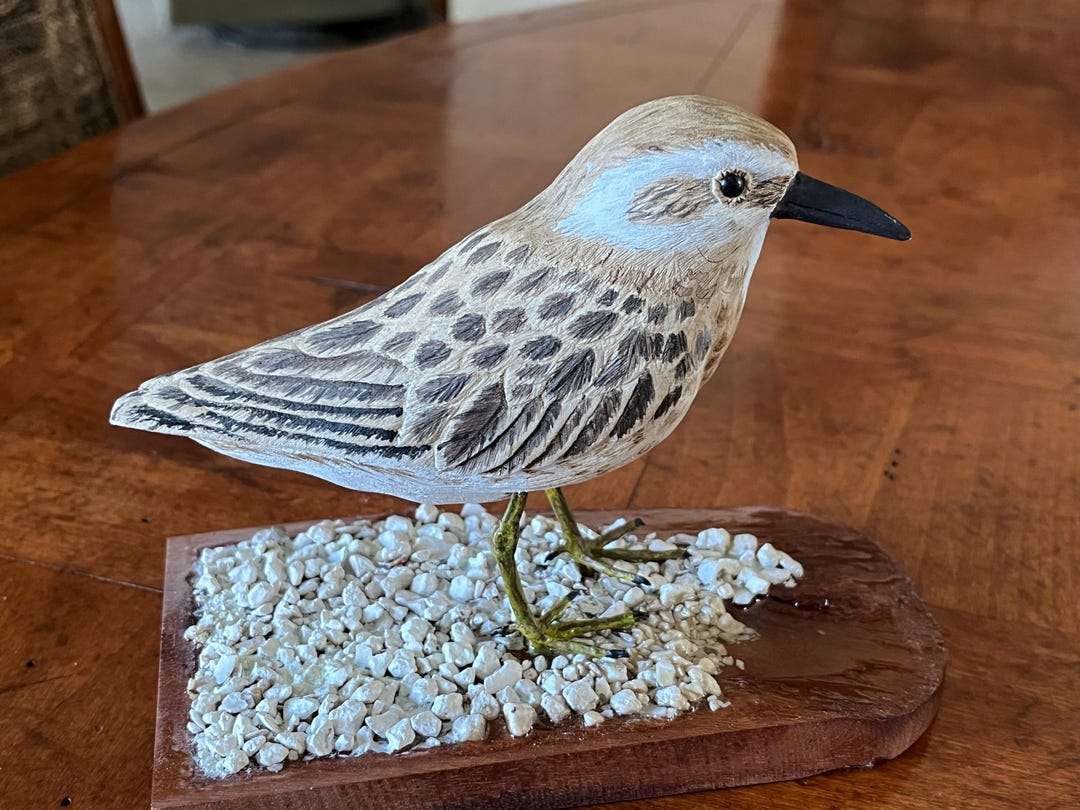 Bird Carving of a Least Sandpiper - Etsy