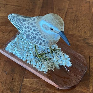 Bird Carving of a Least Sandpiper - Etsy