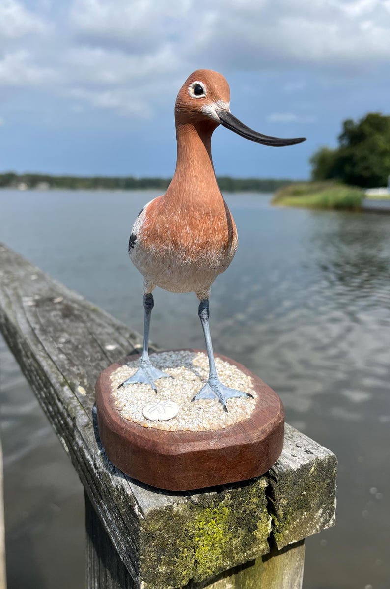 Bird Carving of an American Avocet - Etsy
