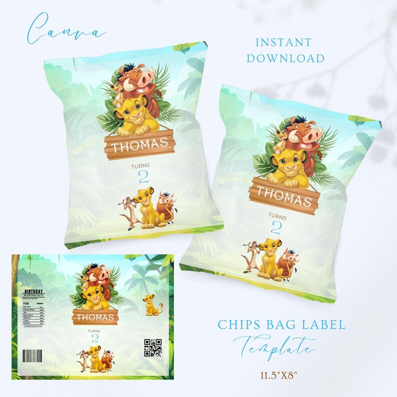 Lion King Party Package, Lion King Birthday Party Package, Lion King ...