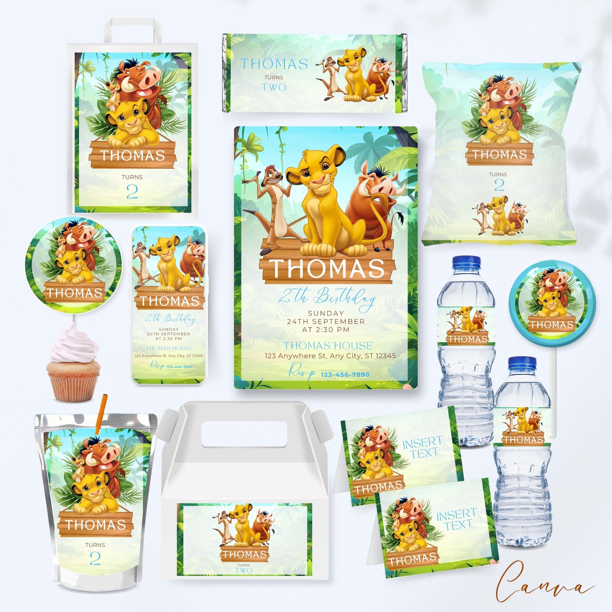 Lion King Party Package, Lion King Birthday Party Package, Lion King ...