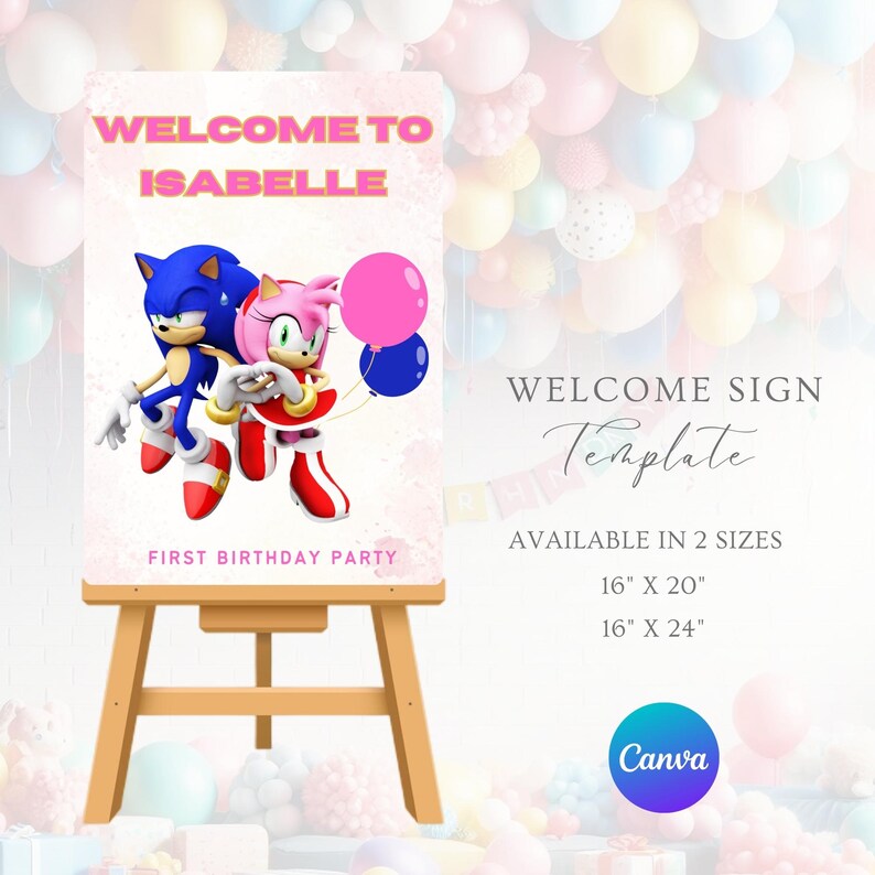 Sonic for Girl Welcome Sign, Girl Birthday Party, Sonic Welcome Board ...