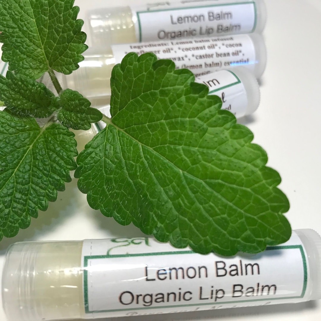 Lemon Balm Herb Lip Balm, Melissa Officinalis Balm, Handmade in Small ...