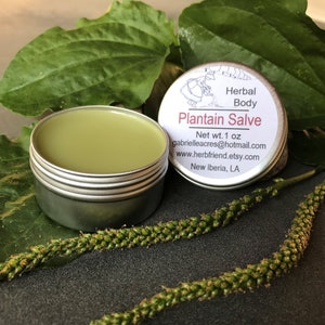 Plantain Herb Salve, Handcrafted Salve, Unscented or Essential Oils ...