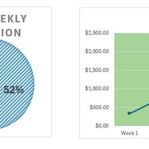Weekly Based Budget Planner and Tracker (excel) - Etsy