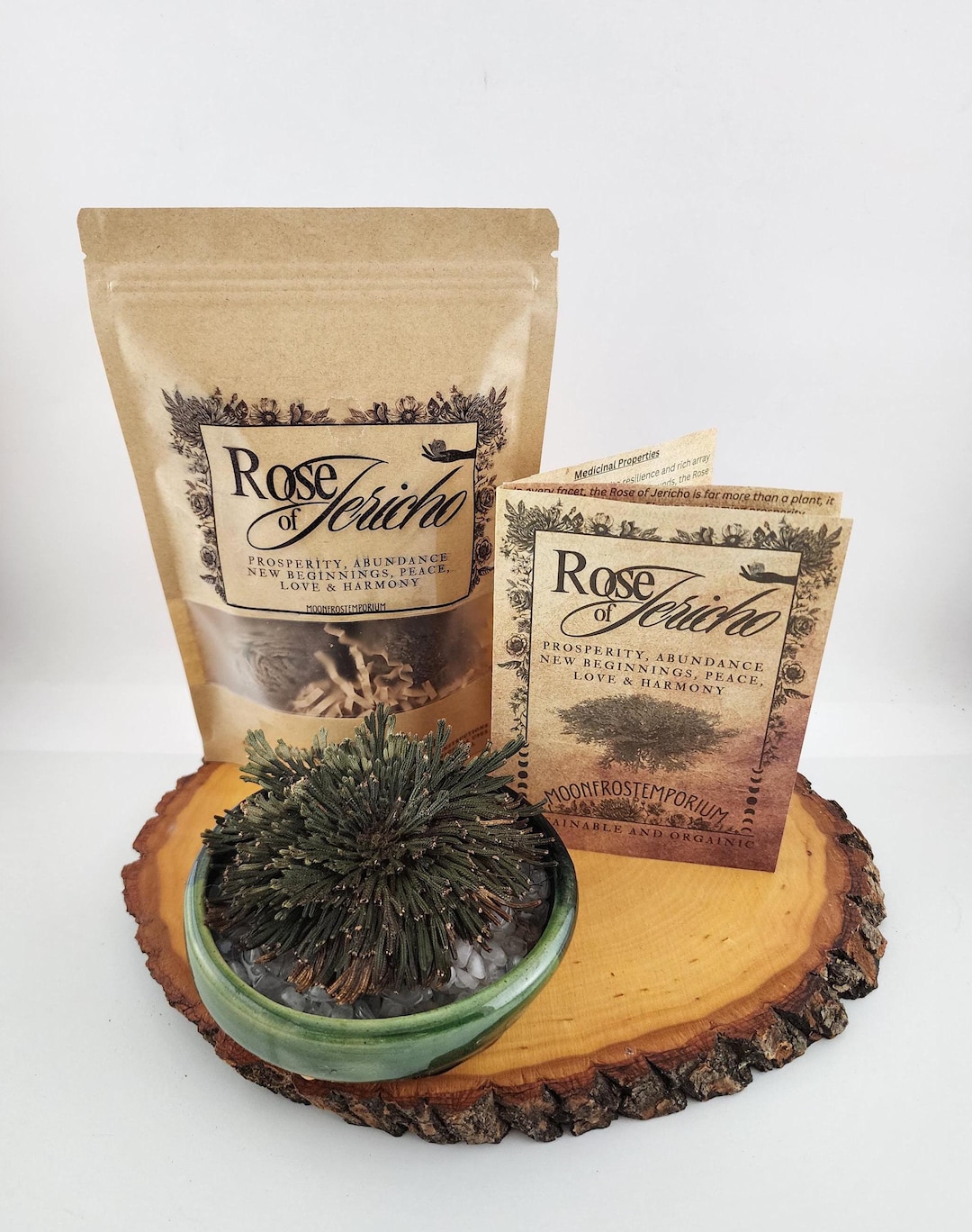 Rose of Jericho Plant of Resurrection Rose Large Jericho Rose Flower of ...