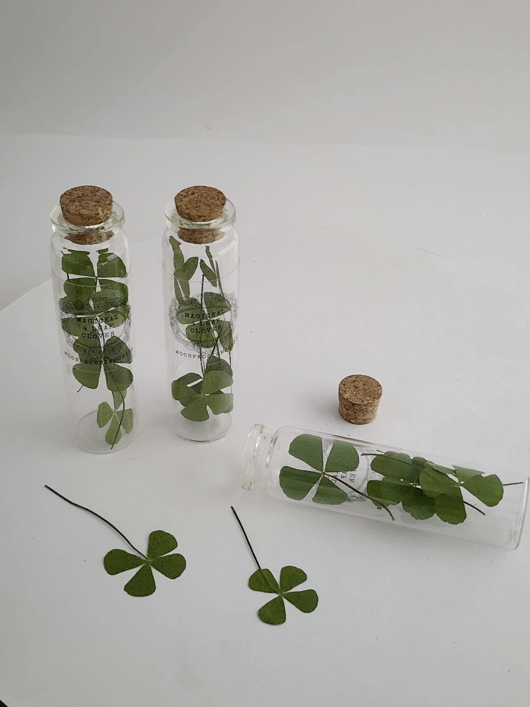 Four Leaf Clover Set of 5 Real 4 Leaf Clovers Bottled Organic ...