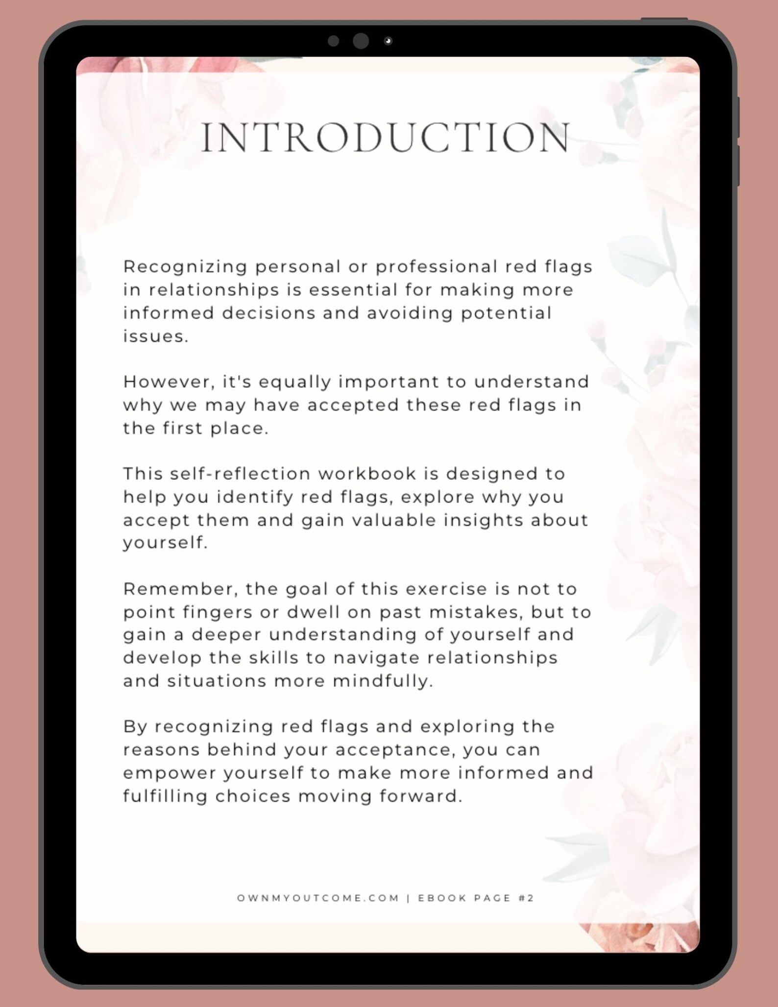 Recognizing Red Flags: A Self-reflection Workbook - Etsy