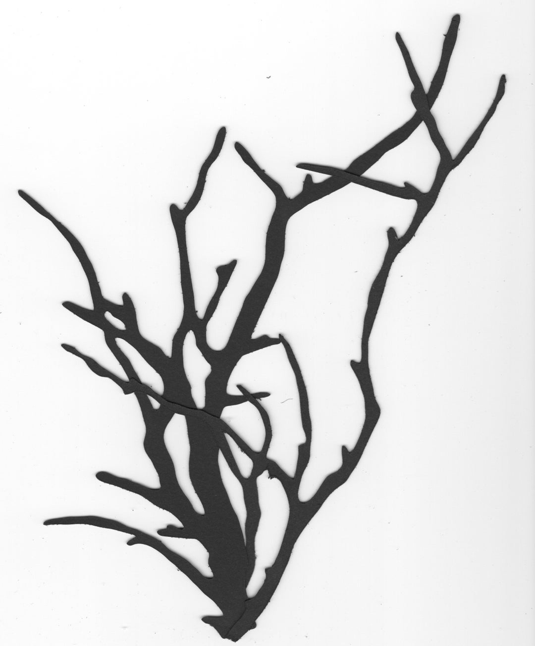 Thermofax Screen - Winter Branches - Easy Screen Printing for Fabric ...