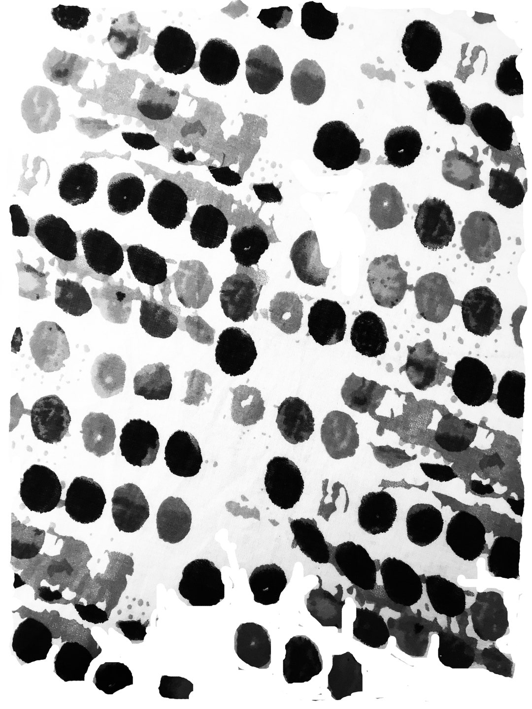 Thermofax Screen - Lunar Eclipse - Easy Screen Printing for Fabric ...