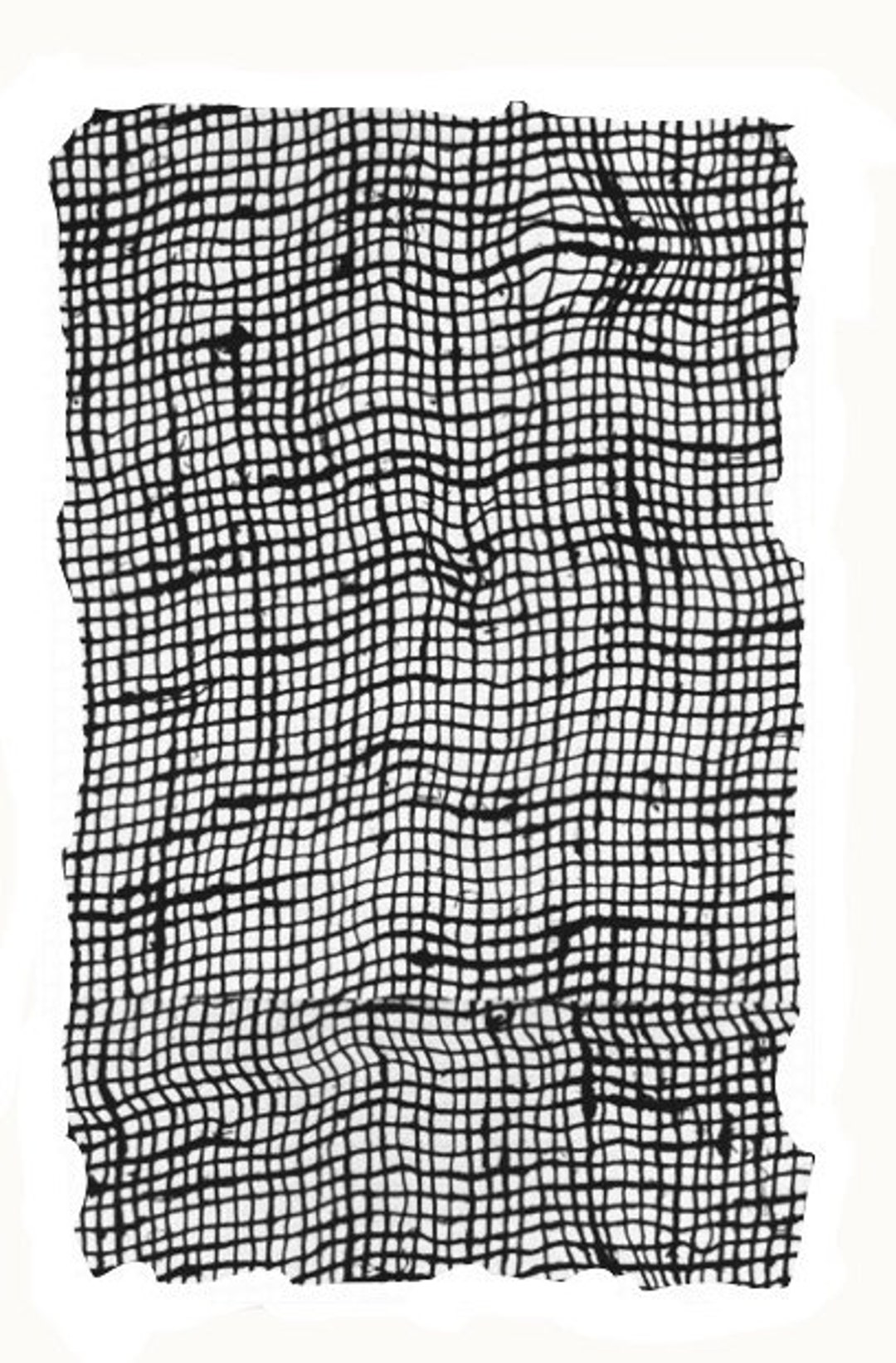 Thermofax Screen Cheesecloth Easy Screen Printing on Fabric, Paper and ...