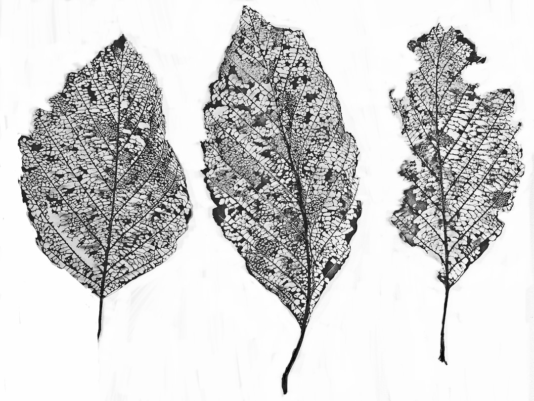 Thermofax Screen - Leaf It Three - Easy Screen Printing for Fabric ...