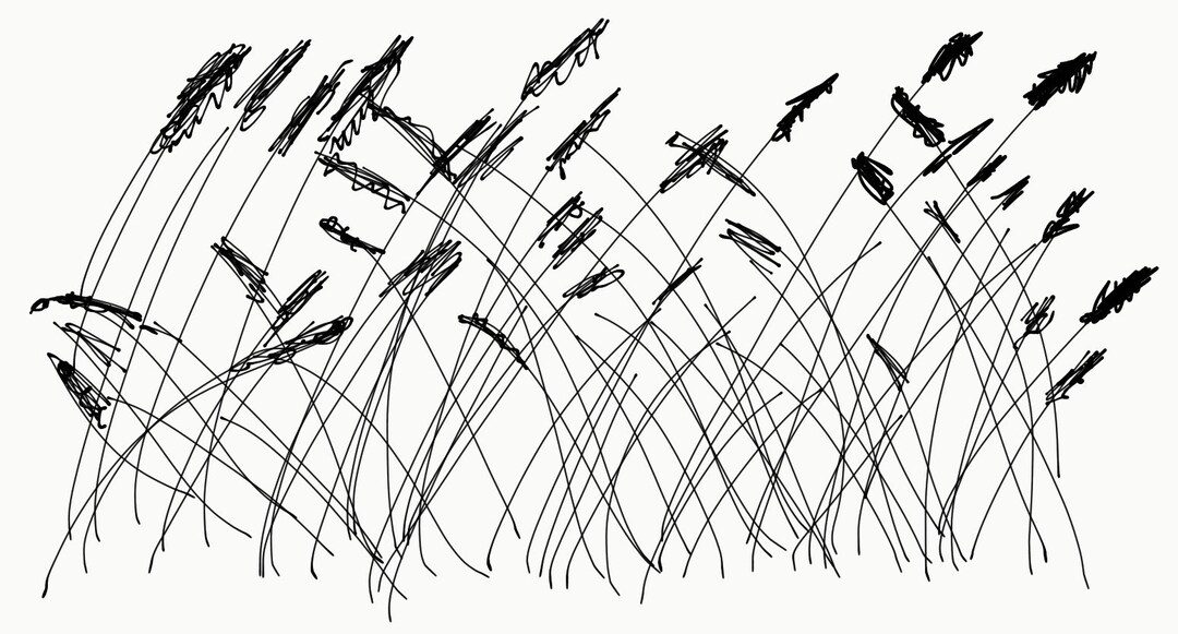 Thermofax Screen - Grasses - Easy Screen Printing for Fabric, Paper ...