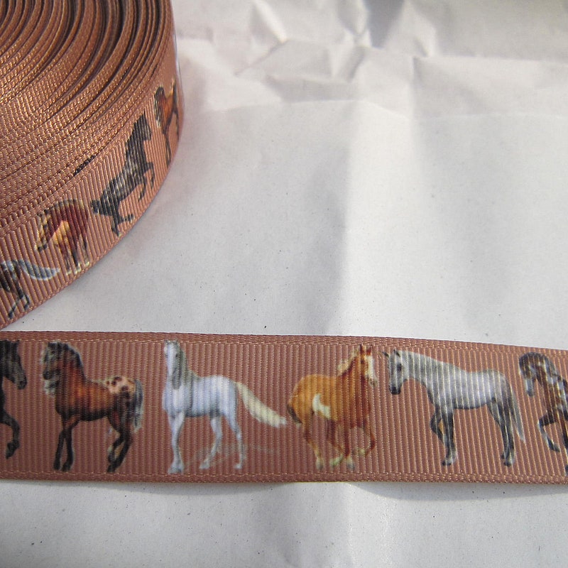 Horse Hair Ribbon - Etsy