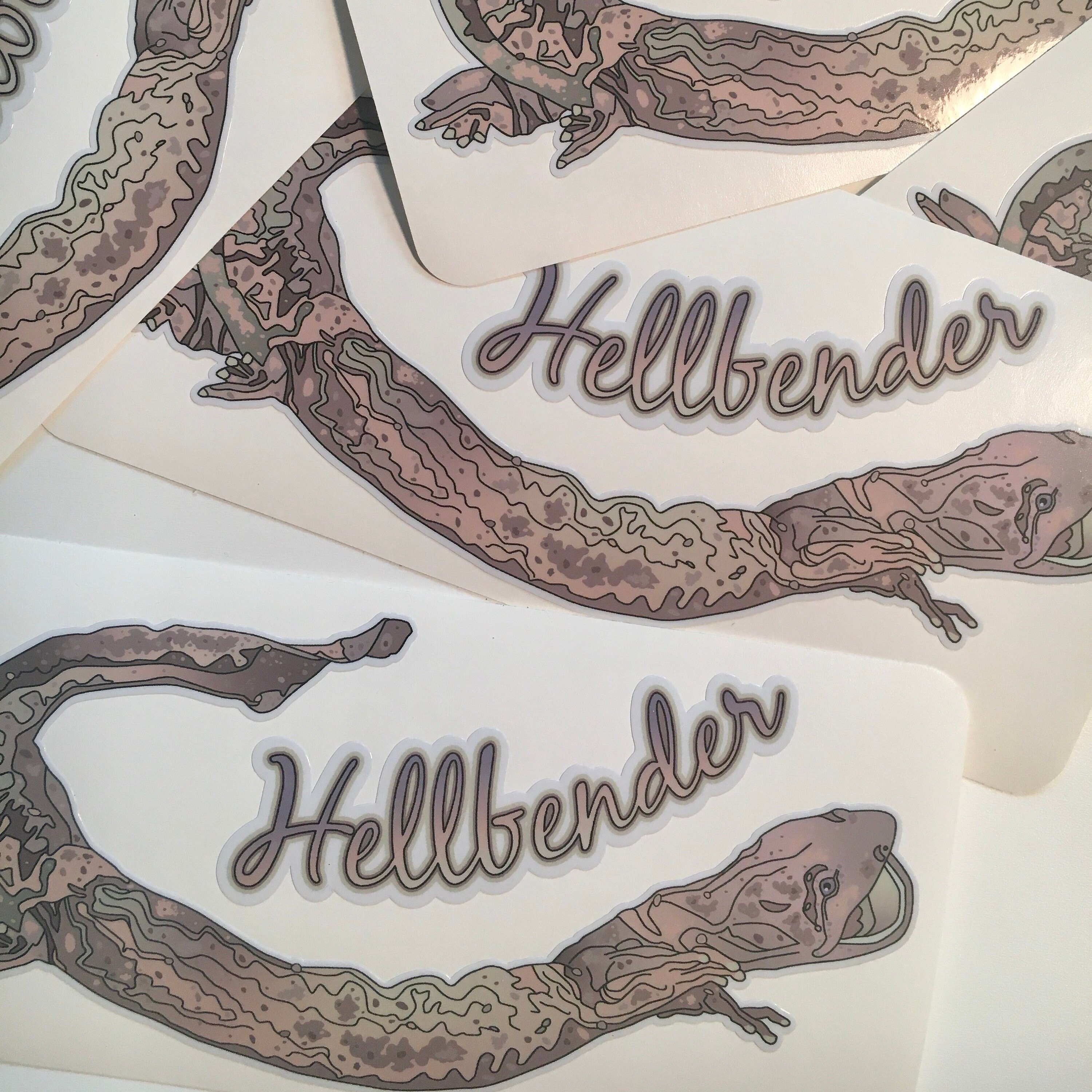 Hellbender Salamander vinyl sticker with gloss laminate 7.5 - Etsy