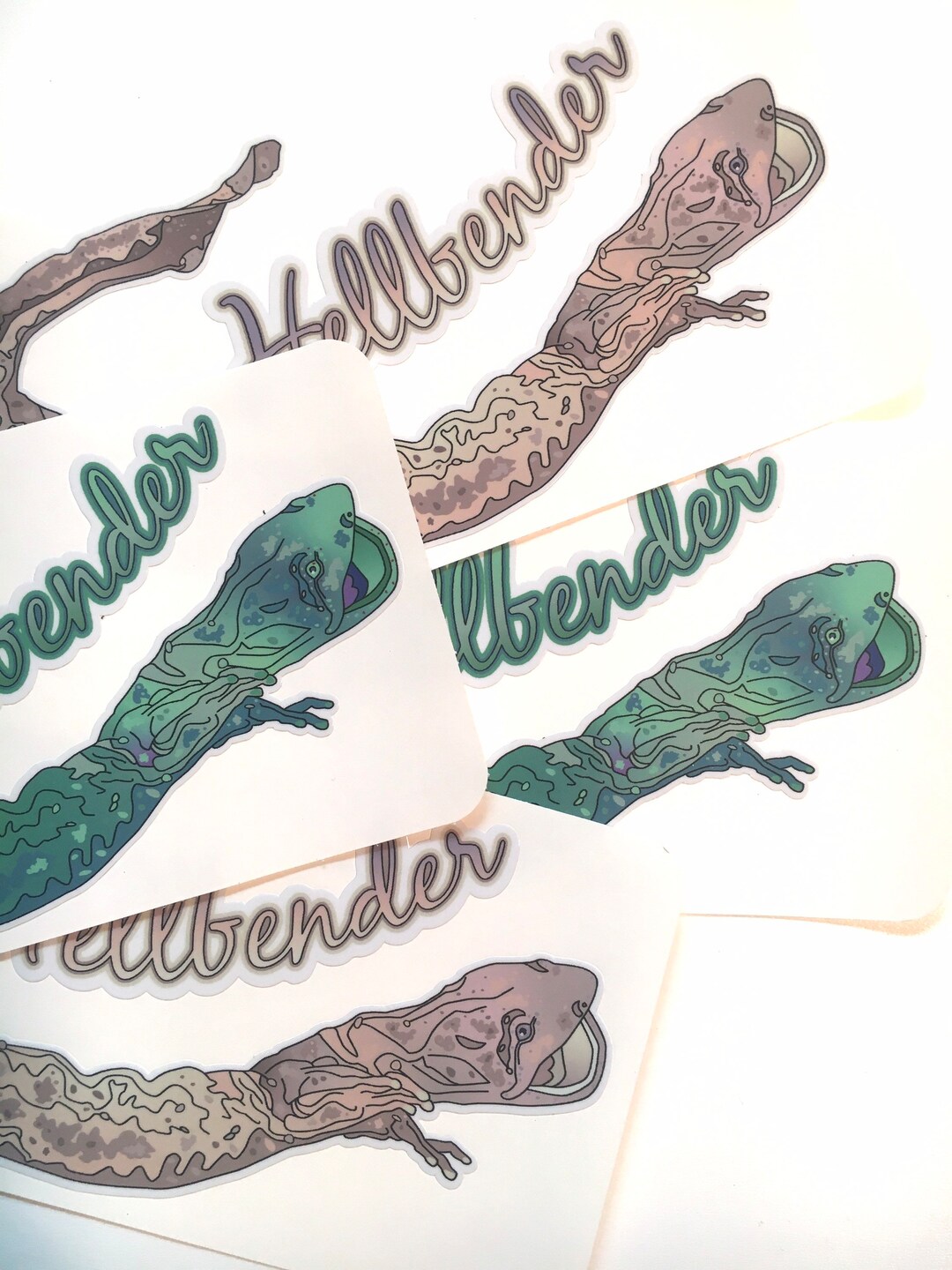 Hellbender Salamander Vinyl Sticker With Gloss Laminate 7.5” Wide, for ...