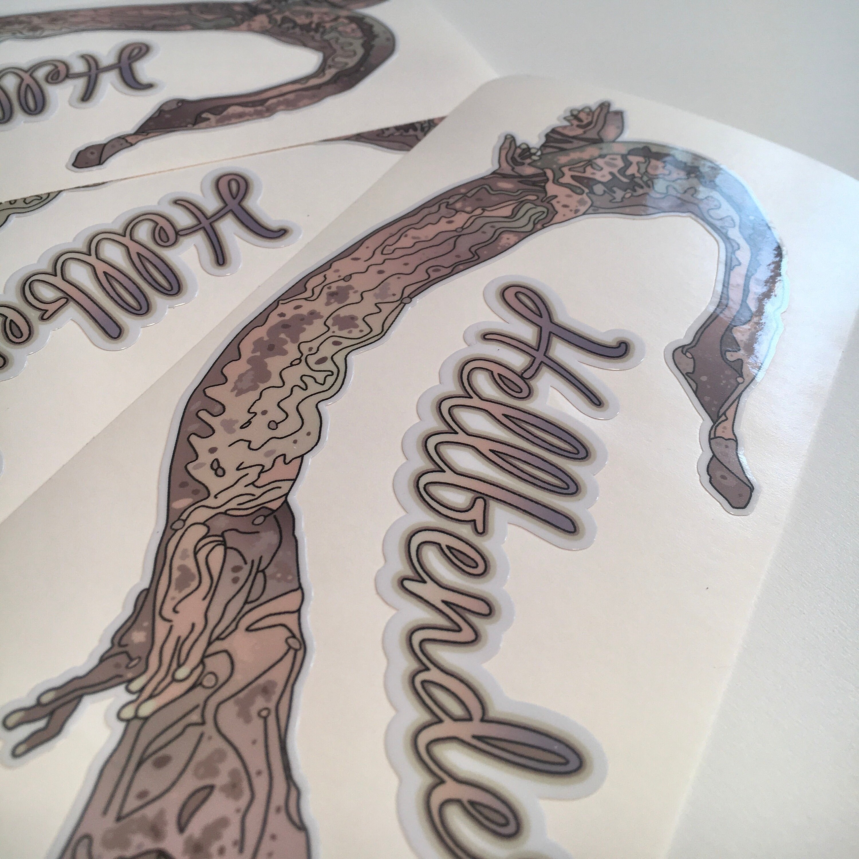 Hellbender Salamander vinyl sticker with gloss laminate 7.5 - Etsy