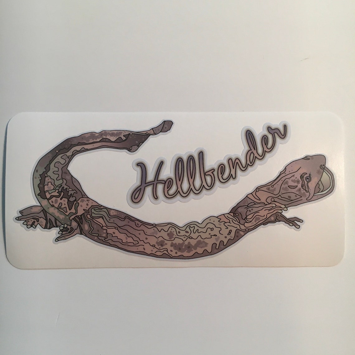 Hellbender Salamander vinyl sticker with gloss laminate 7.5 | Etsy