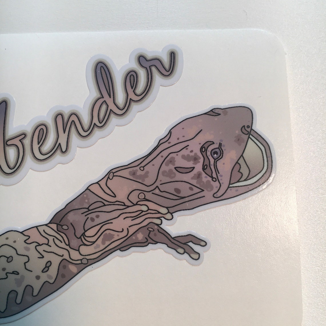 Hellbender Salamander vinyl sticker with gloss laminate 7.5 | Etsy