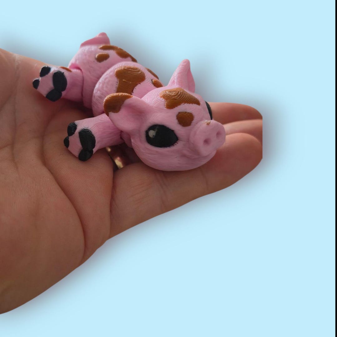 Dirty Pig Fidget Toy: 3D Printed PLA Sensory Desk Pet - Etsy UK