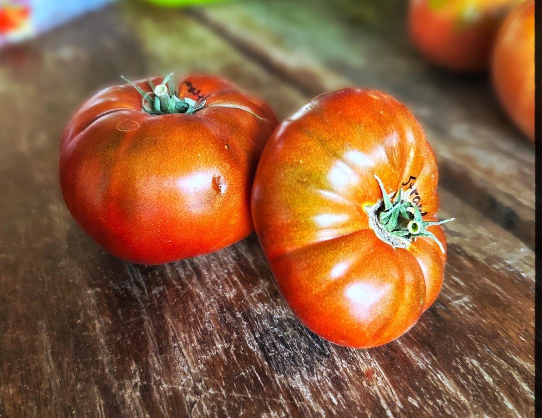 Dwarf Strawberry Lemonade Tomato Seeds - Etsy