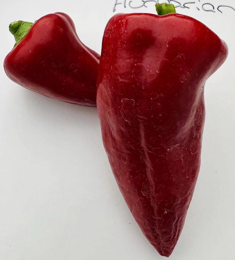 Utri Hot Hungarian Pepper Seeds - Etsy