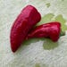 Utri Hot Hungarian Pepper Seeds - Etsy