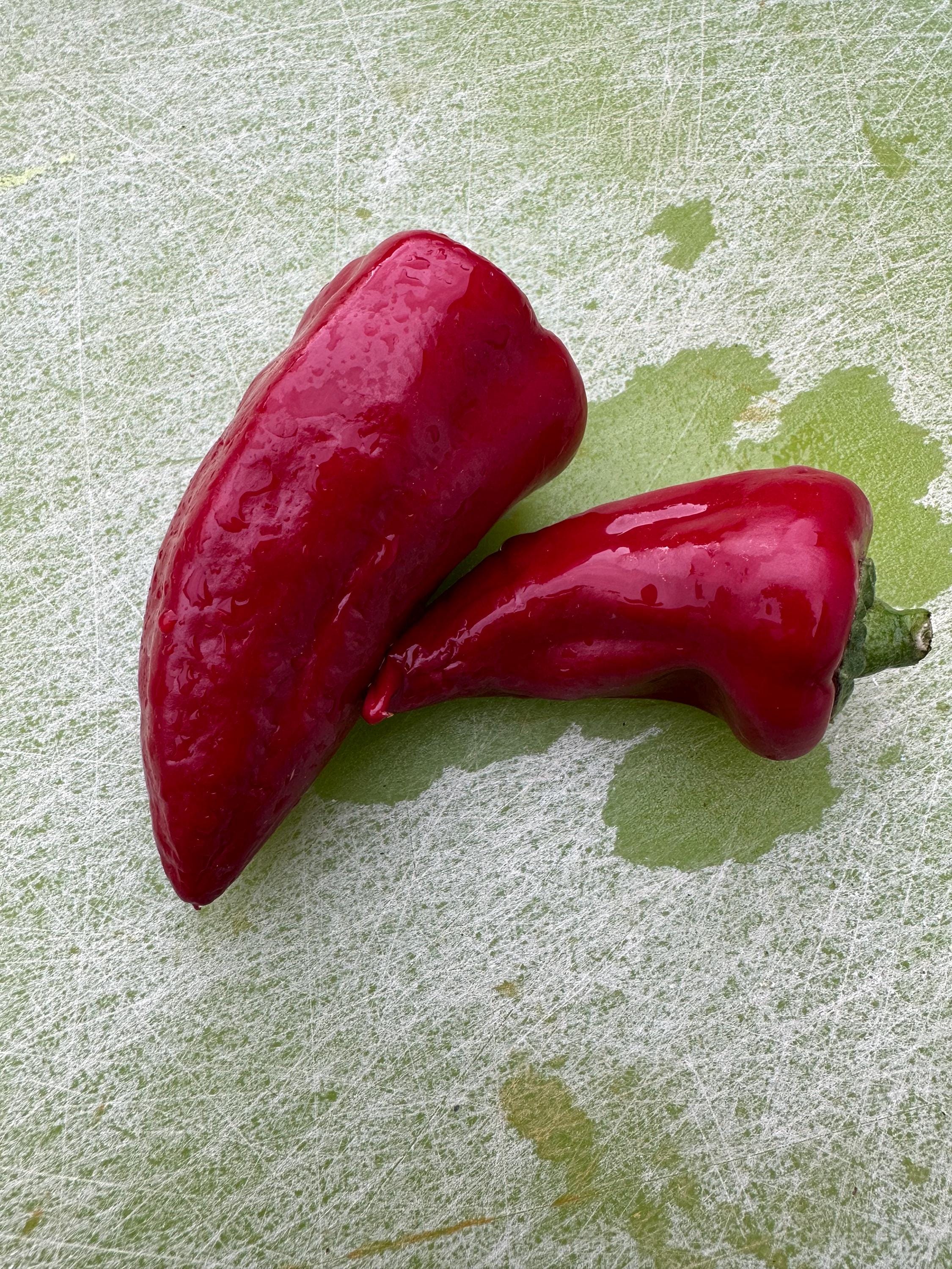 Utri Hot Hungarian Pepper Seeds - Etsy