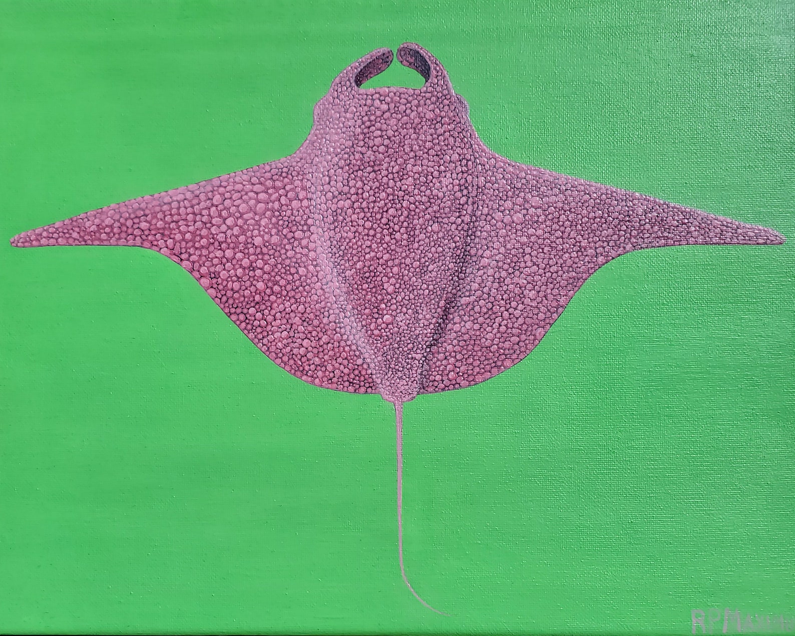 Pink Manta Ray Original Acrylic Painting on Canvas 11x14 Inch - Etsy