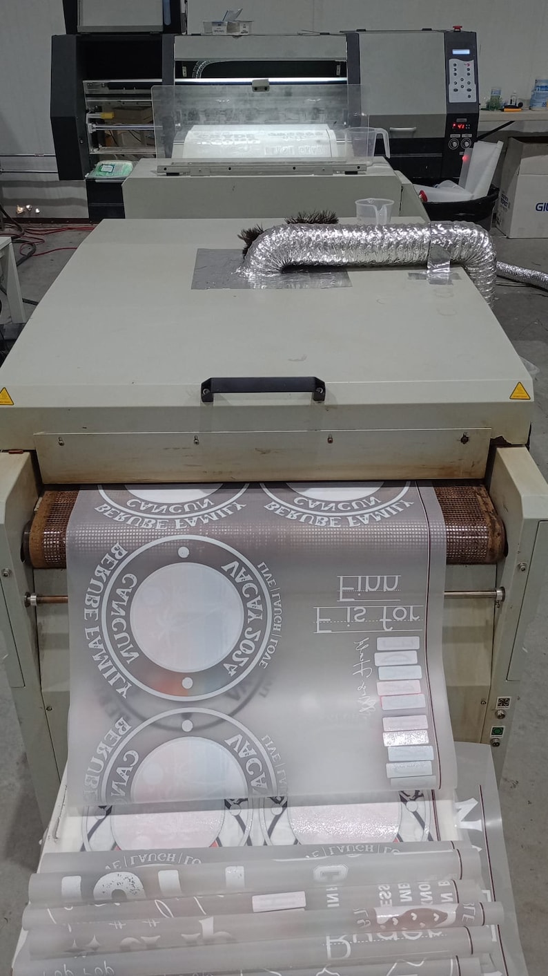 Custom Disney 2026 Ready to Press, Family Disney Trip 2026 Dtf ...