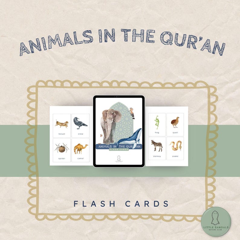 ANIMALS in the QUR'AN Flash Cards | Nature-based Learning for Preschool ...