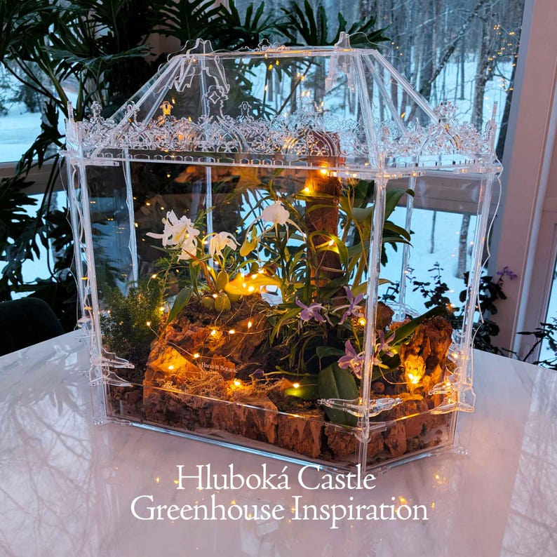 Large Victorian Terrarium Cabinet | Ornate Mini Greenhouse for Indoor ...