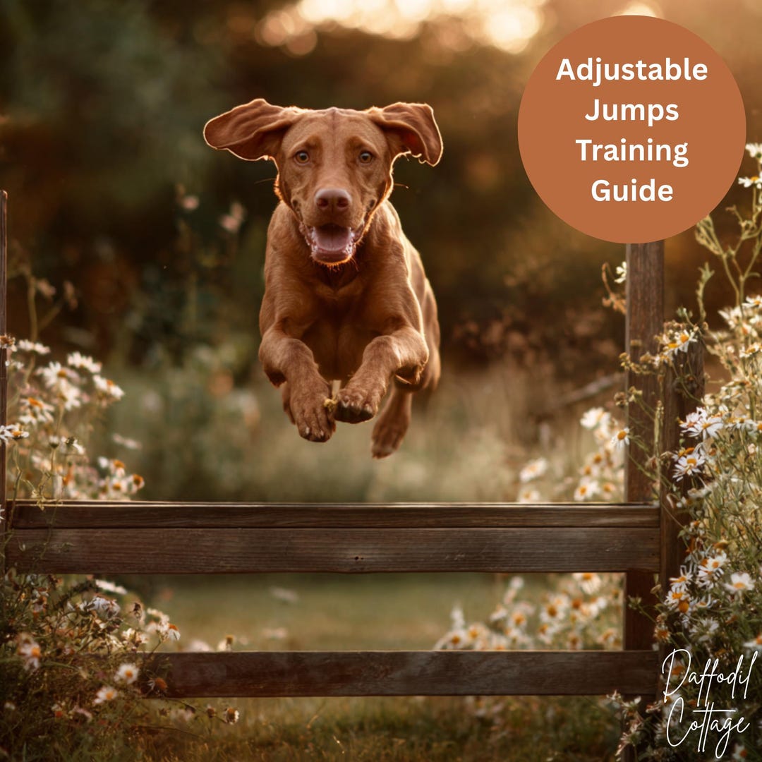 Dog Agility Jumps Training Guide PDF – Adjustable Jump Exercises, Puppy ...