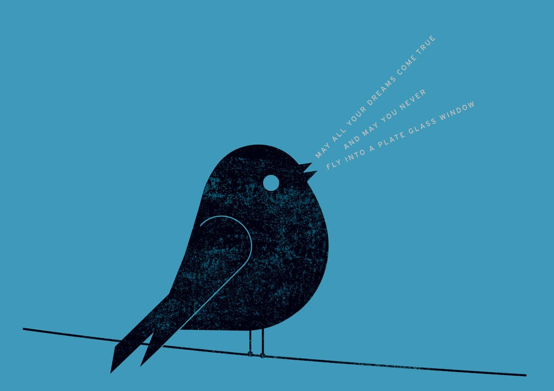 Bird Words. Modern, Bird, Birds, Poster, Design, Illustration - Etsy