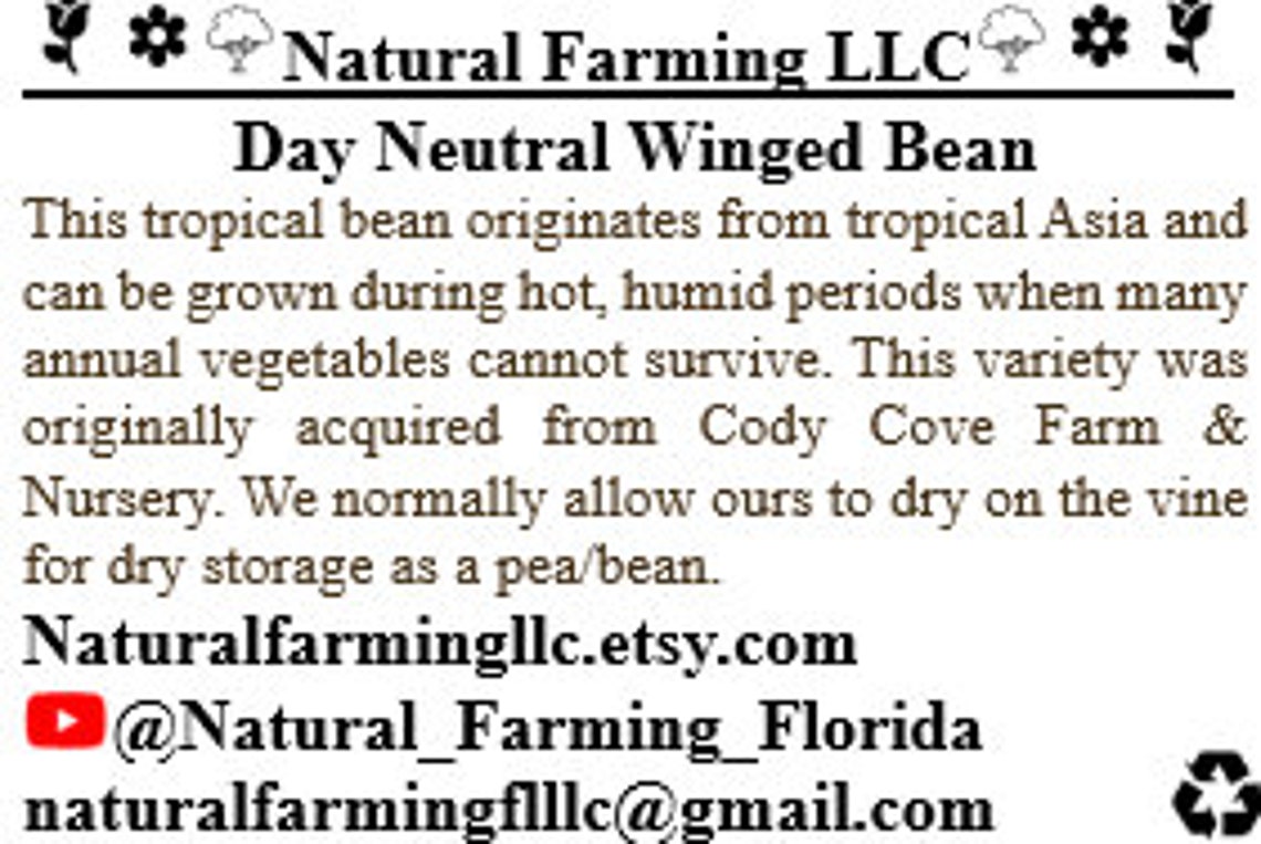 Winged Bean (day Neutral) - 20 Seeds - Etsy