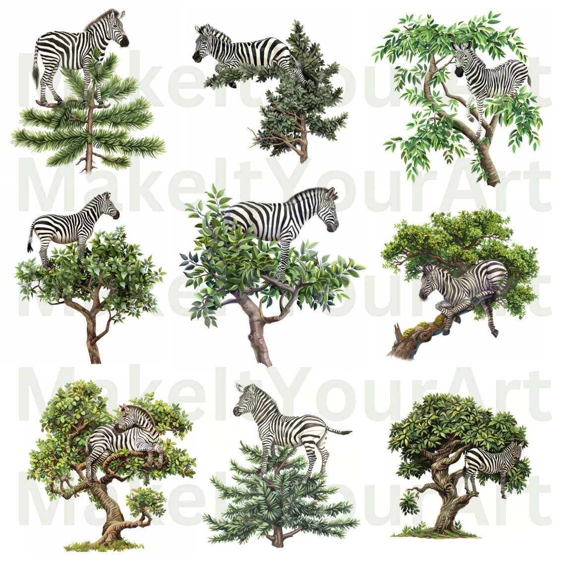 Bundle of Zebras in Trees Clipart Bundle - High Resolution PNG ...