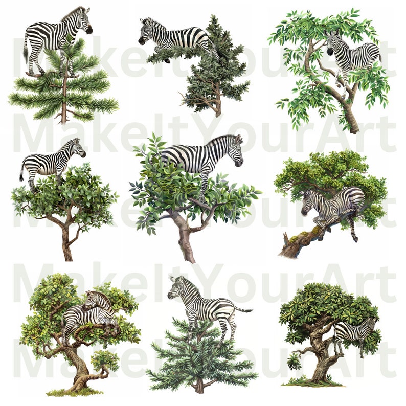 Bundle of Zebras in Trees Clipart Bundle - High Resolution PNG ...