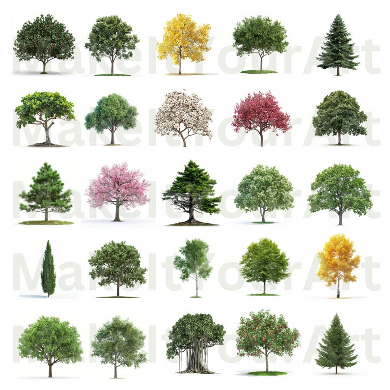 Most Popular Realistic Trees Clipart Bundle High Resolution PNG Digital ...