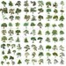 Bundle of Animals in Trees Clipart Bundle High Resolution PNG Digital ...