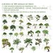 Bundle of Animals in Trees Clipart Bundle High Resolution PNG Digital ...