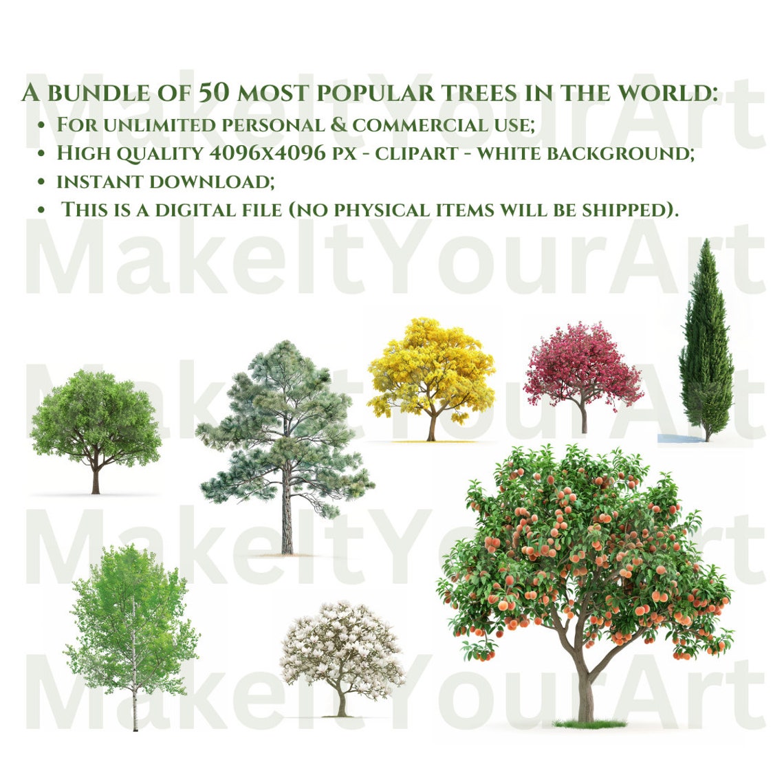 Most Popular Realistic Trees Clipart Bundle - High Resolution PNG ...