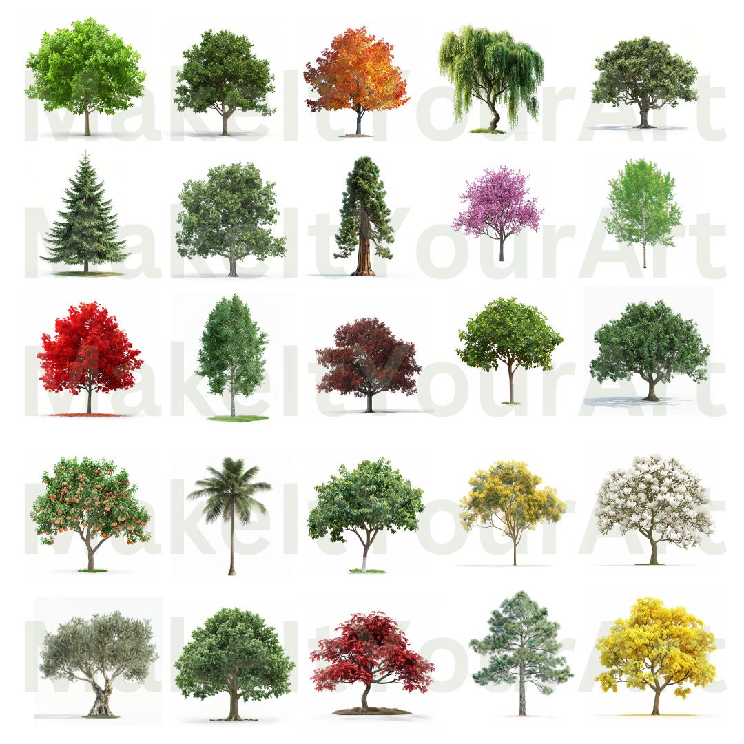 Most Popular Realistic Trees Clipart Bundle - High Resolution PNG ...