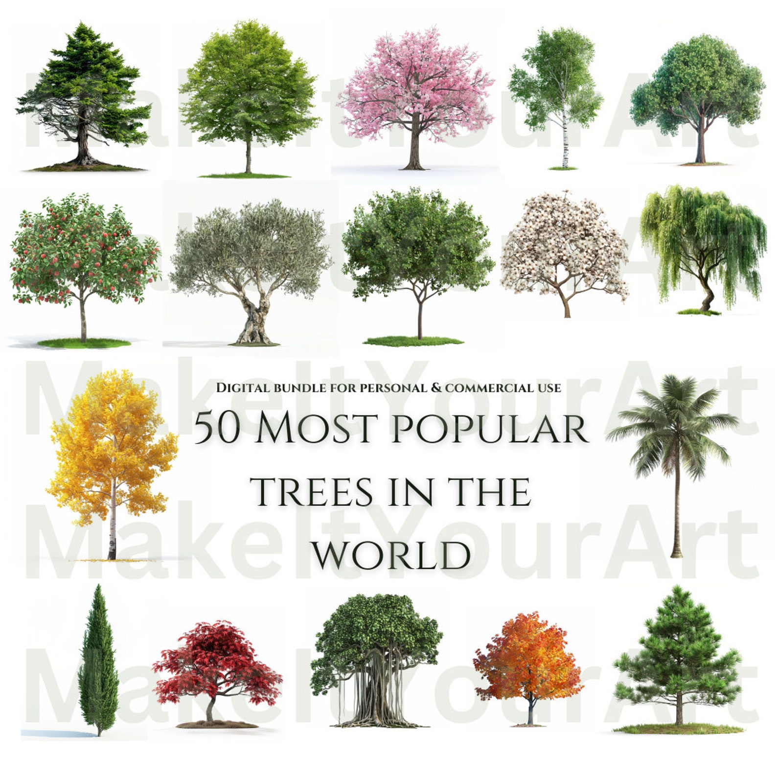 Most Popular Realistic Trees Clipart Bundle - High Resolution PNG ...